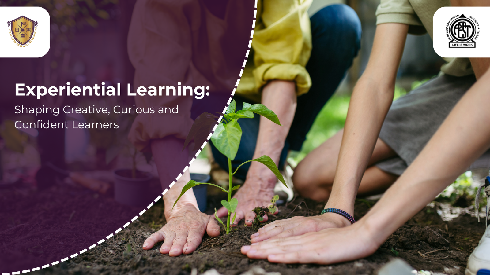 Experiential Learning: Developing Creative, Confident Learners